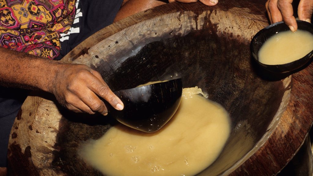 Seeing kava in a new light: NZ study to explore therapeutic potential ...