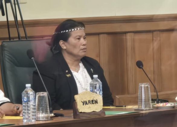 David Adeang elected unopposed as Nauru President | PINA